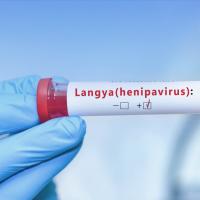 Mengenal Virus Langya dan Potensi Emerging Disease